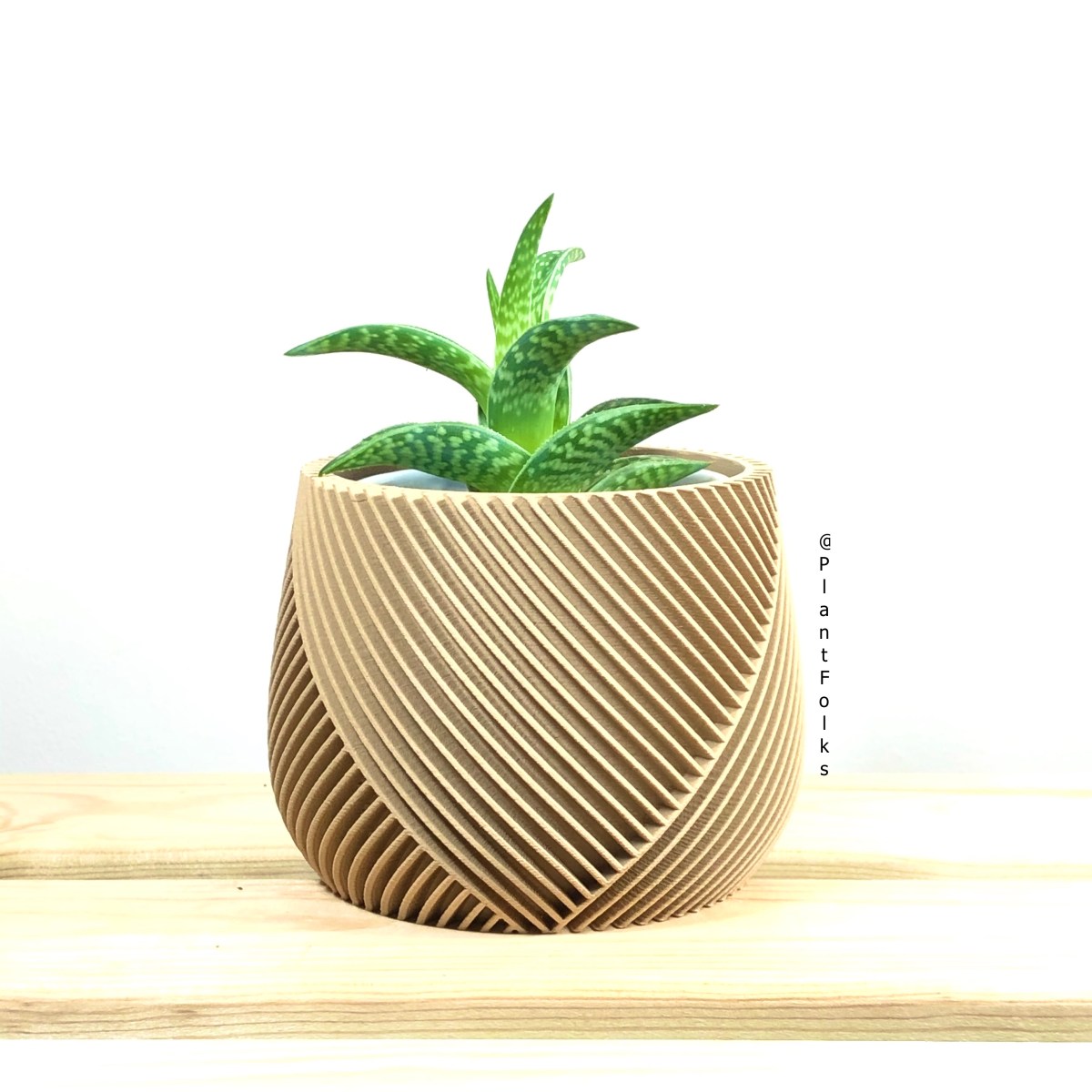 3D Planters: CANCUN - Plant Folks