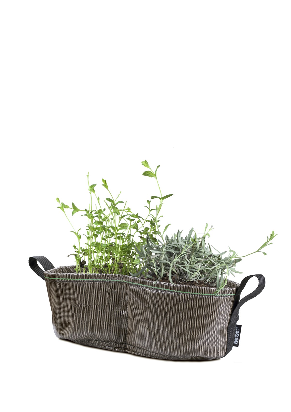 BACSAC® Small Window Box - Plant Folks